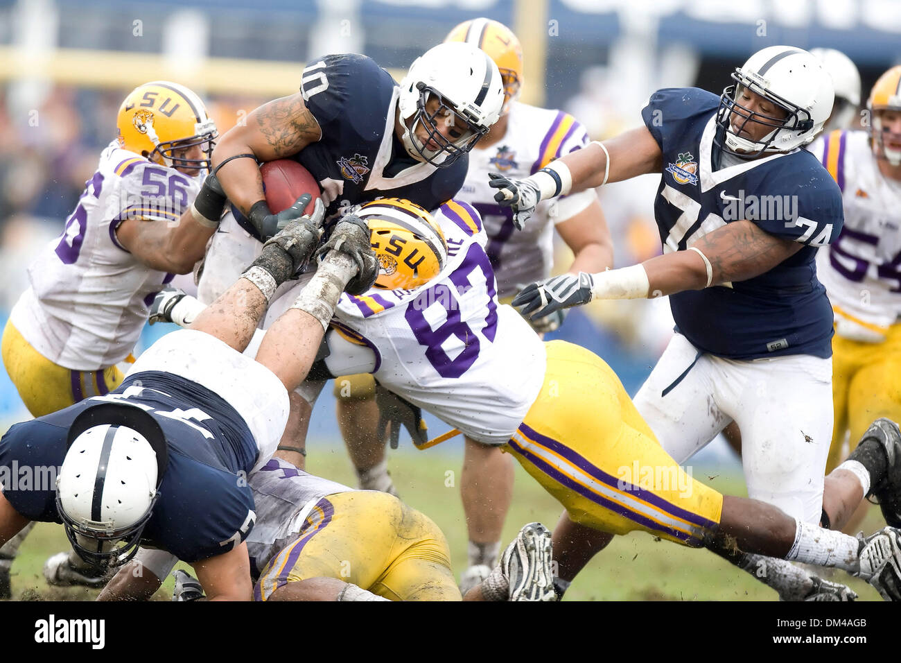 Quarless hi-res stock photography and images - Alamy