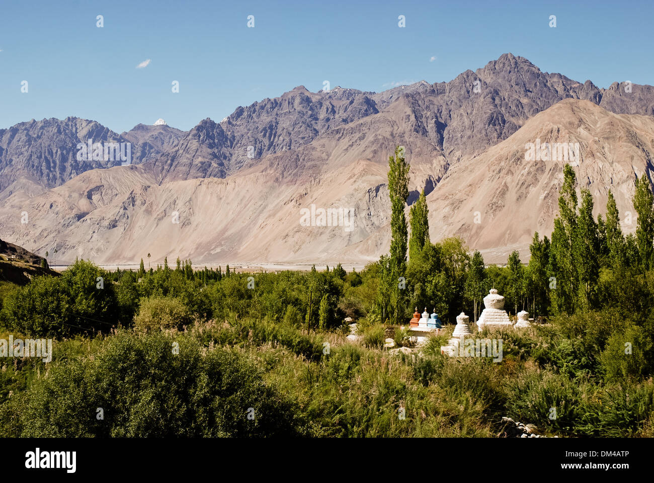 India jammu kashmir ladakh green hi-res stock photography and images ...