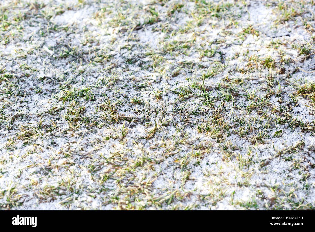 First snow on green grass, winter is coming Stock Photo - Alamy