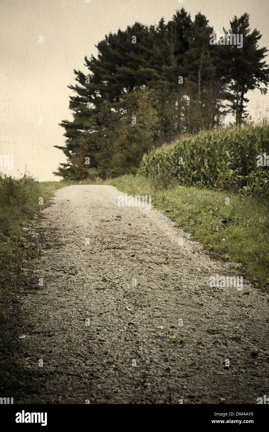 Country road with cornfield hi-res stock photography and images - Alamy