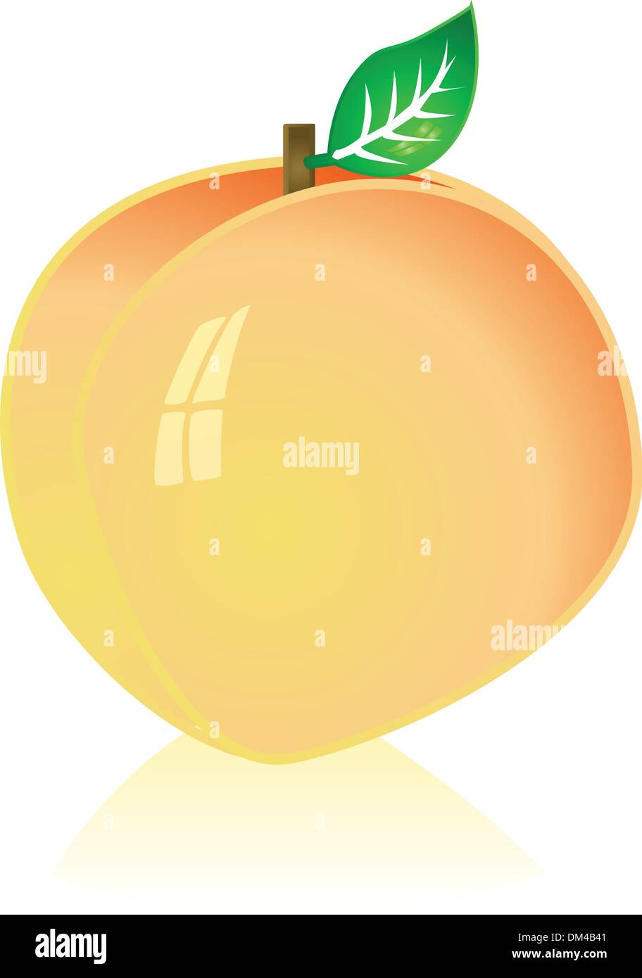 Bright red yellow peach Stock Vector Images - Alamy