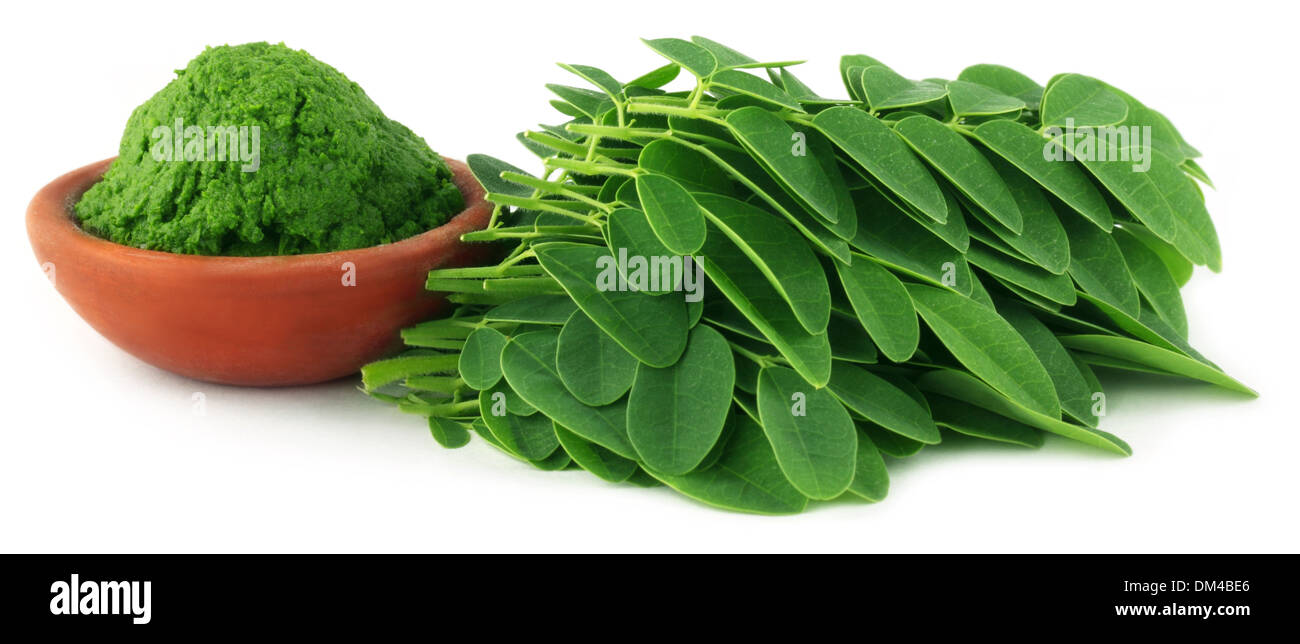 Moringa leaves with paste on a brown bowl over white background Stock ...