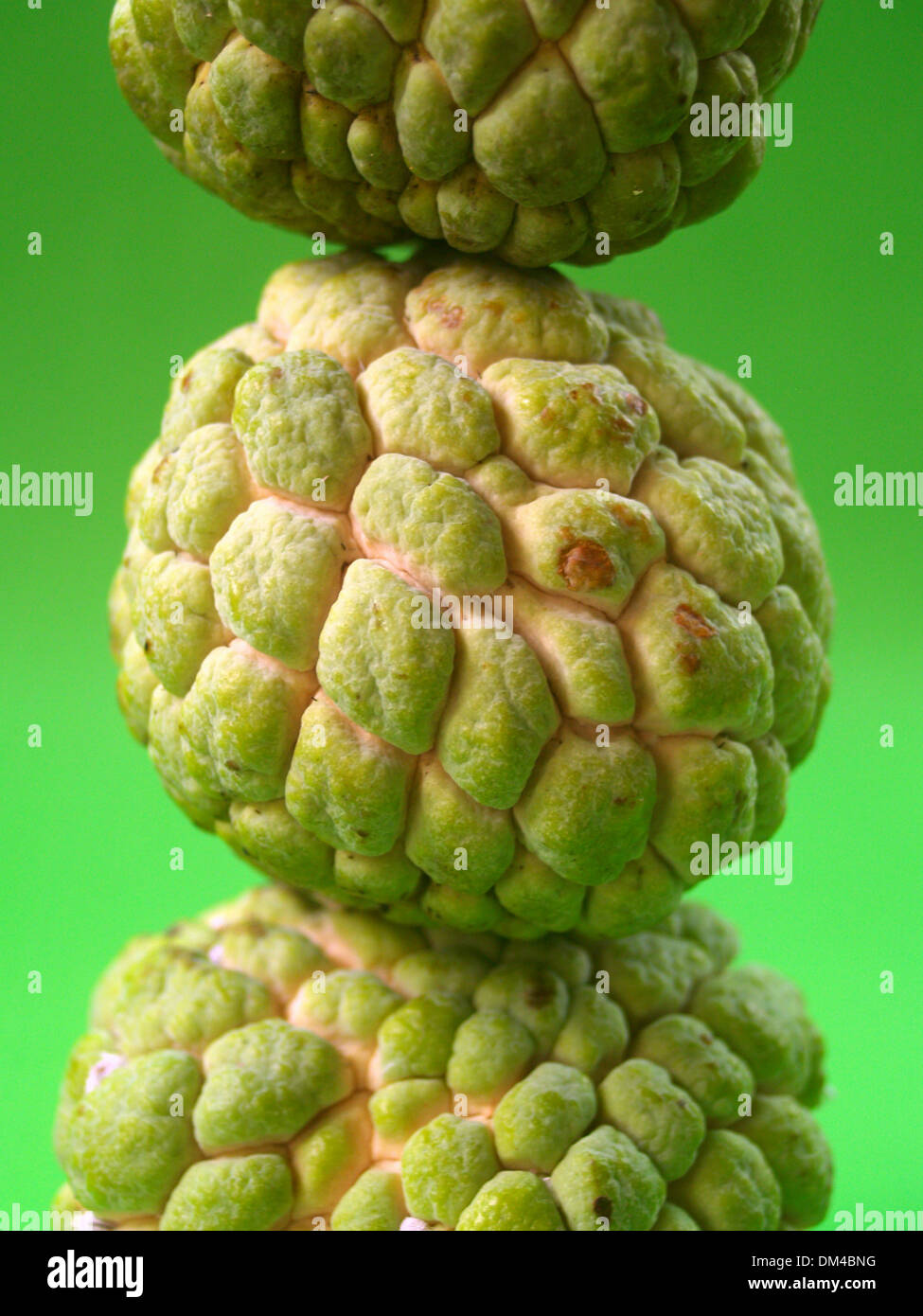 Sugar Apple fruit Stock Photo - Alamy