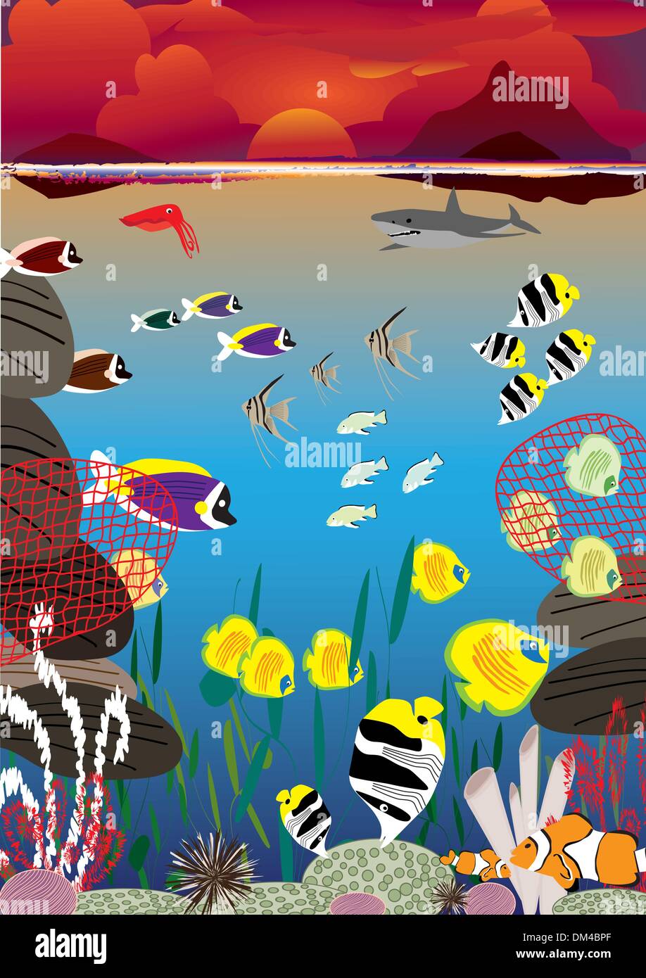 sunset swimming fish Stock Vector Image & Art - Alamy