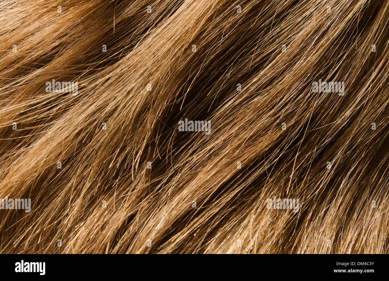 Close-up of long woman hair for texture or background Stock Photo - Alamy