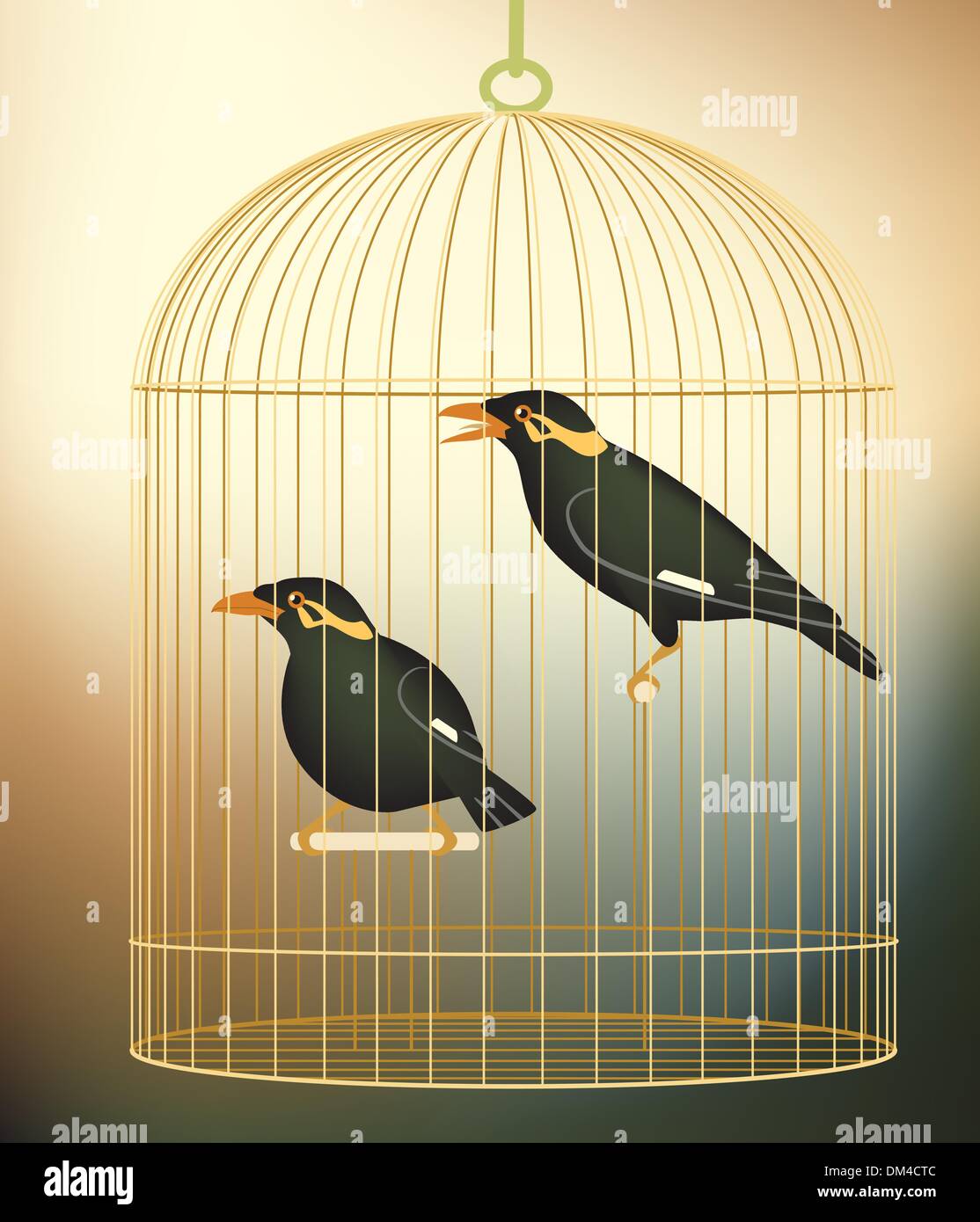 Asian myna Stock Vector Images - Alamy