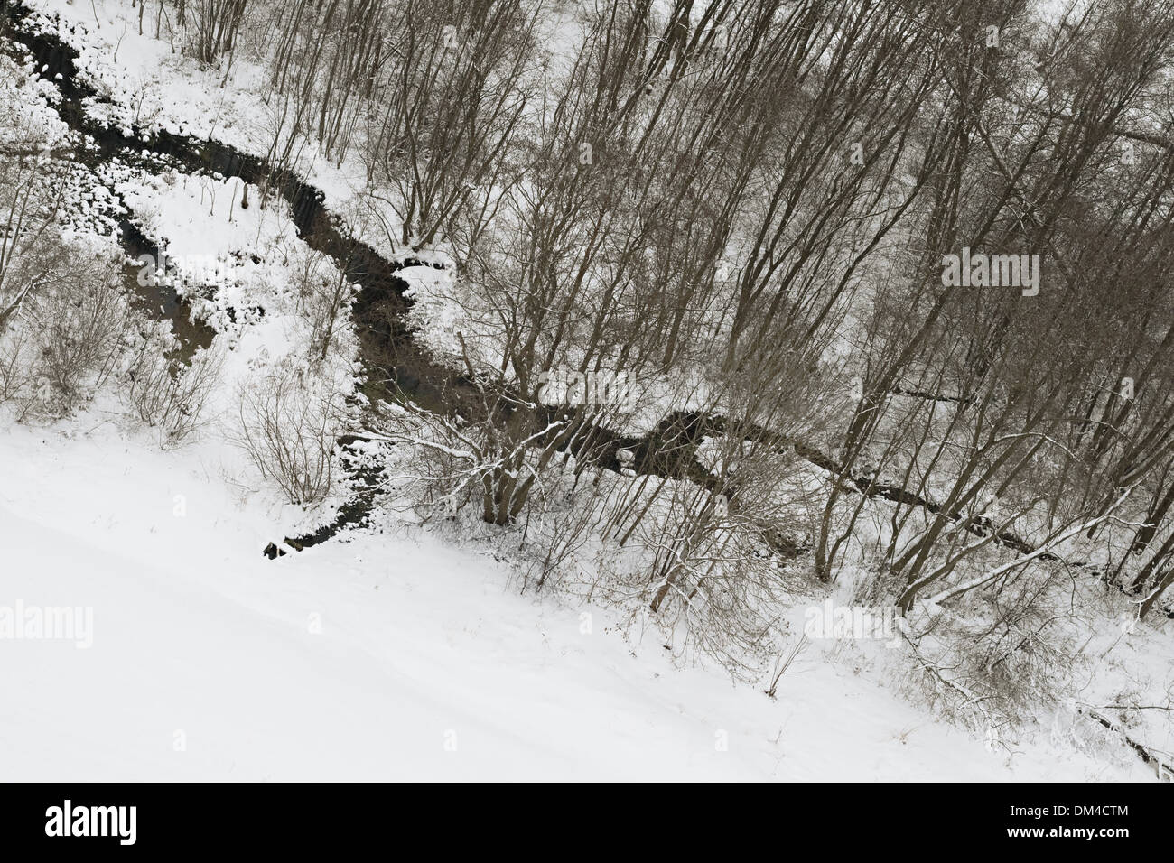 Creek with trees hi-res stock photography and images - Alamy