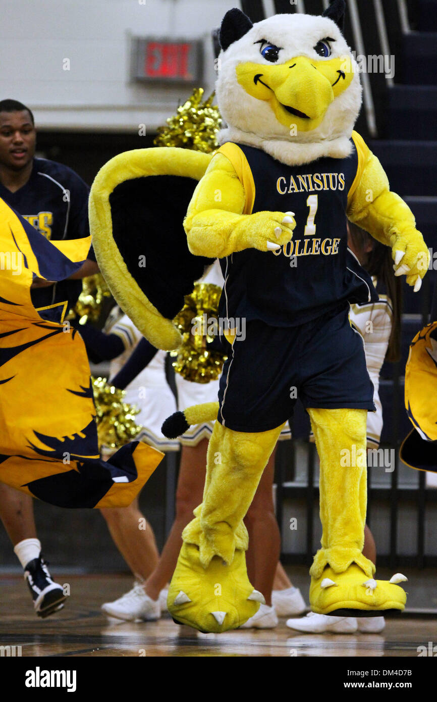 Golden Griffin Stock Photos & Golden Griffin Stock Images - Alamy