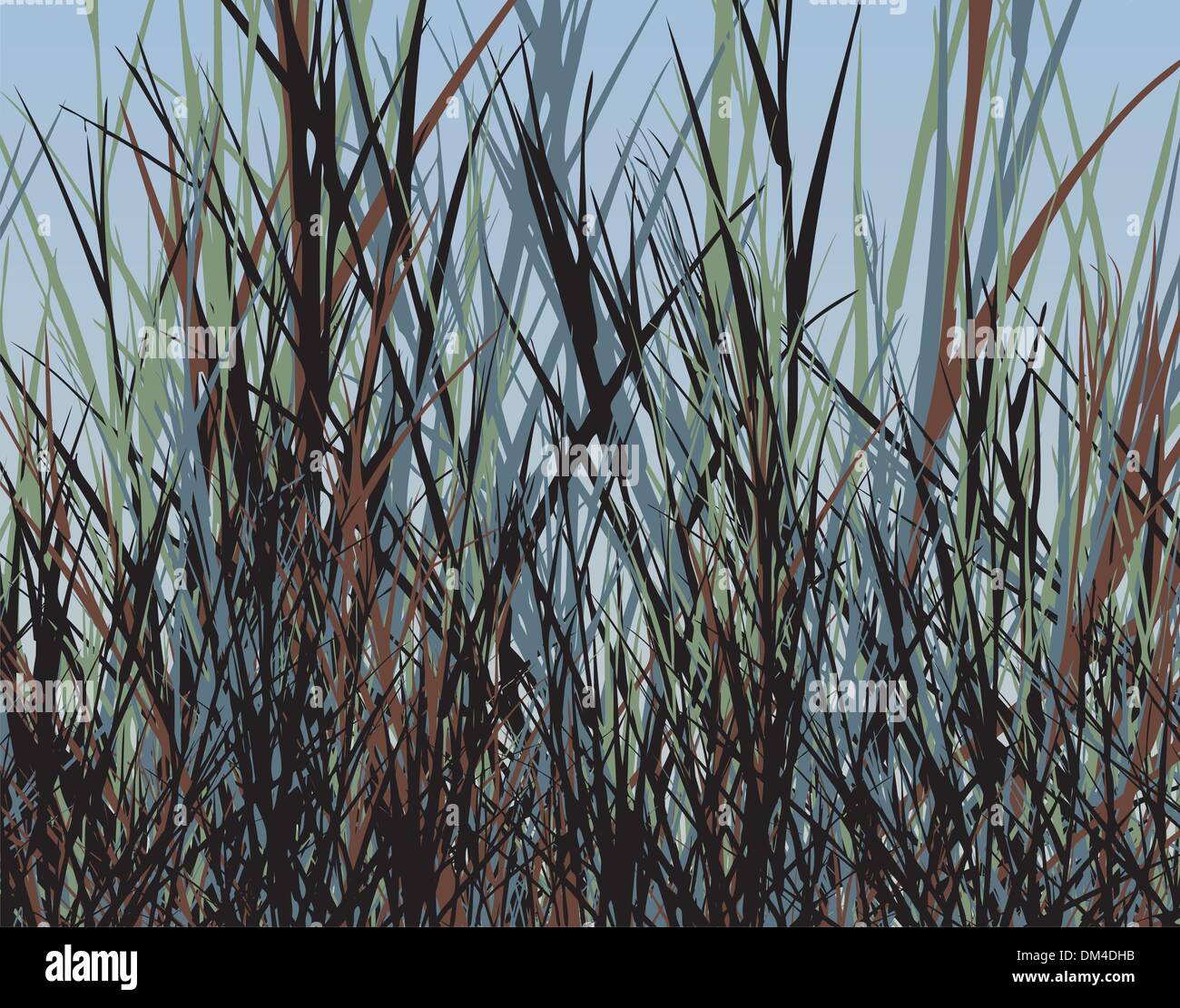 Tall grass habitat Stock Vector Images - Alamy