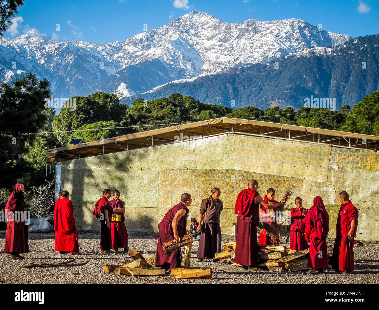 Feb. 8, 2013 - Bir, Himachal Pardesh, India - TIBETAN BUDDHISM IN EXILE ...