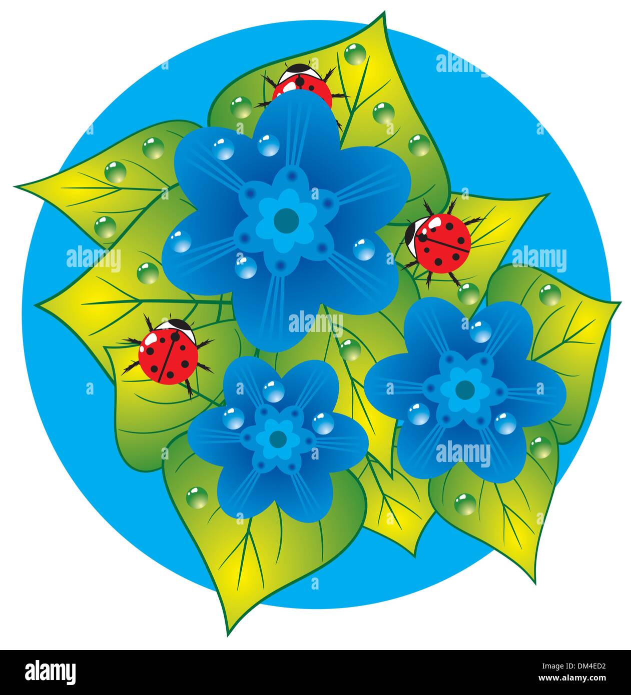 Water bugs Cut Out Stock Images & Pictures - Alamy