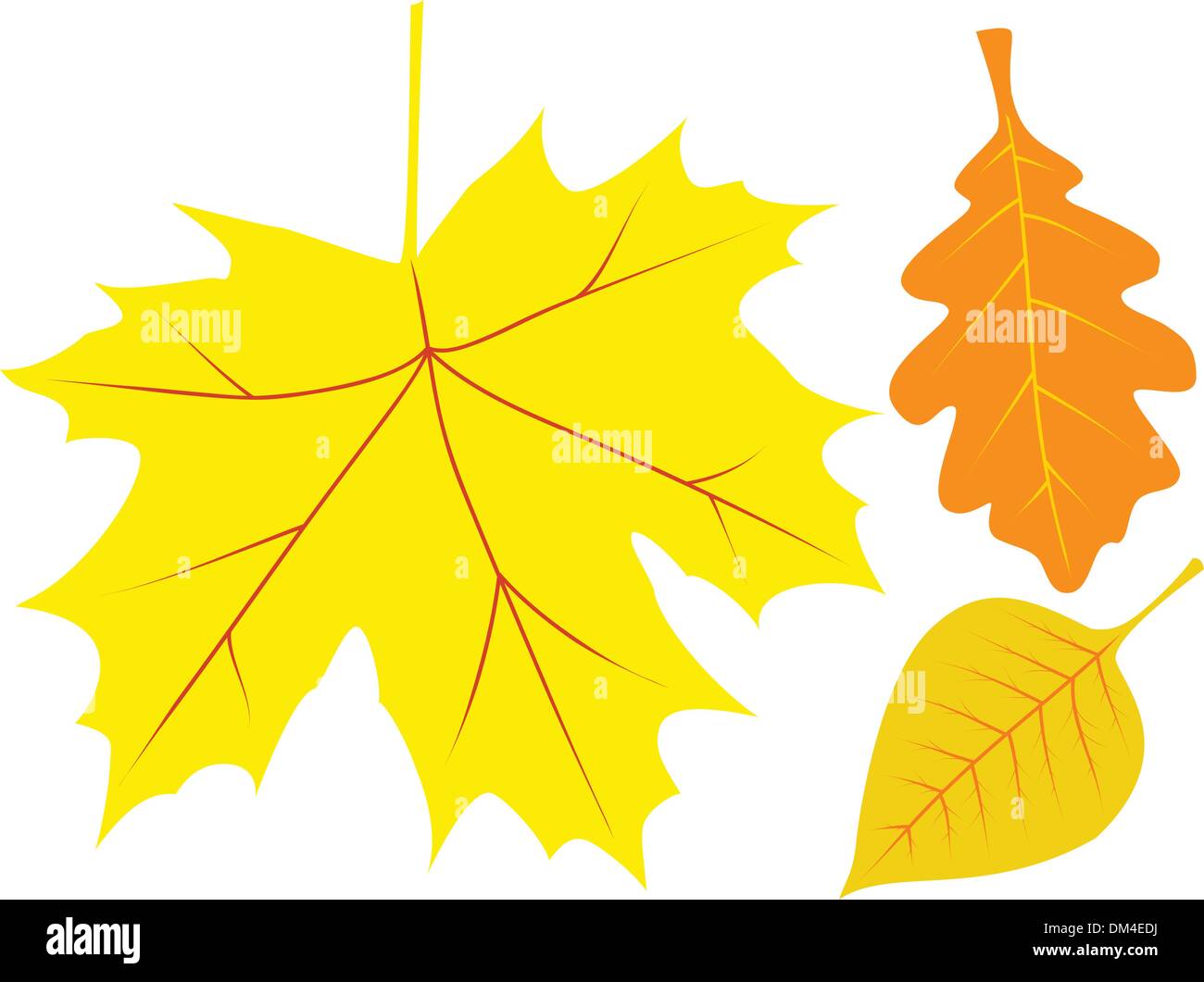 Leafy tree yellow leaves Stock Vector Images - Alamy