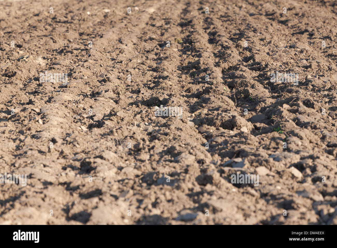 Row tilled crop hi-res stock photography and images - Alamy