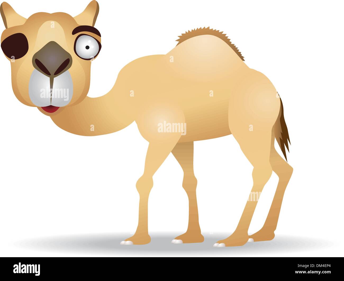 Camel hump cartoon hi-res stock photography and images - Alamy