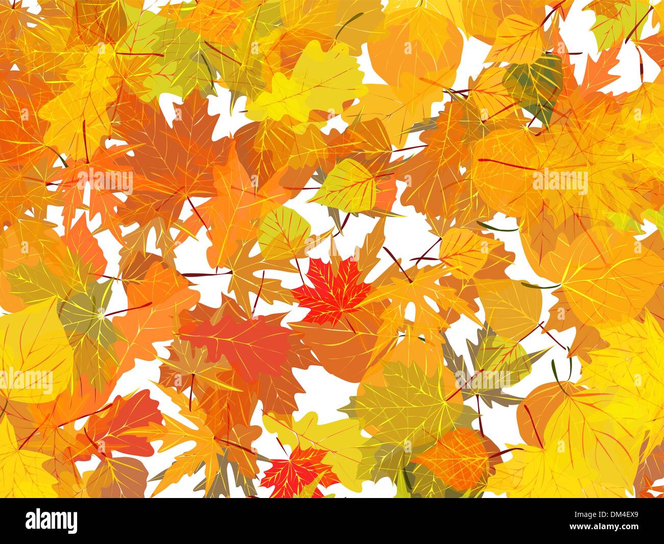 Autumn leaves background Stock Vector Image & Art - Alamy