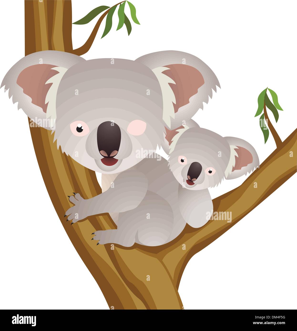 Koala cartoon hi-res stock photography and images - Alamy