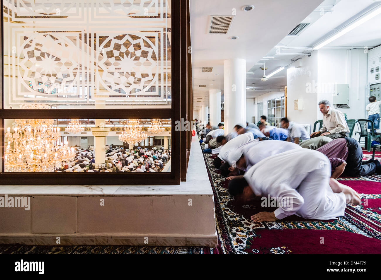 Praying inside mosque middle east hi-res stock photography and images ...
