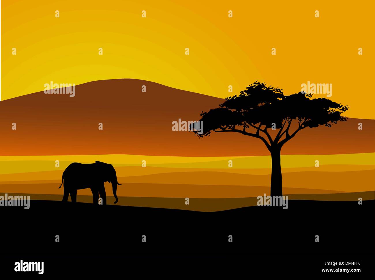 Wild life animals in Stock Vector Images - Alamy