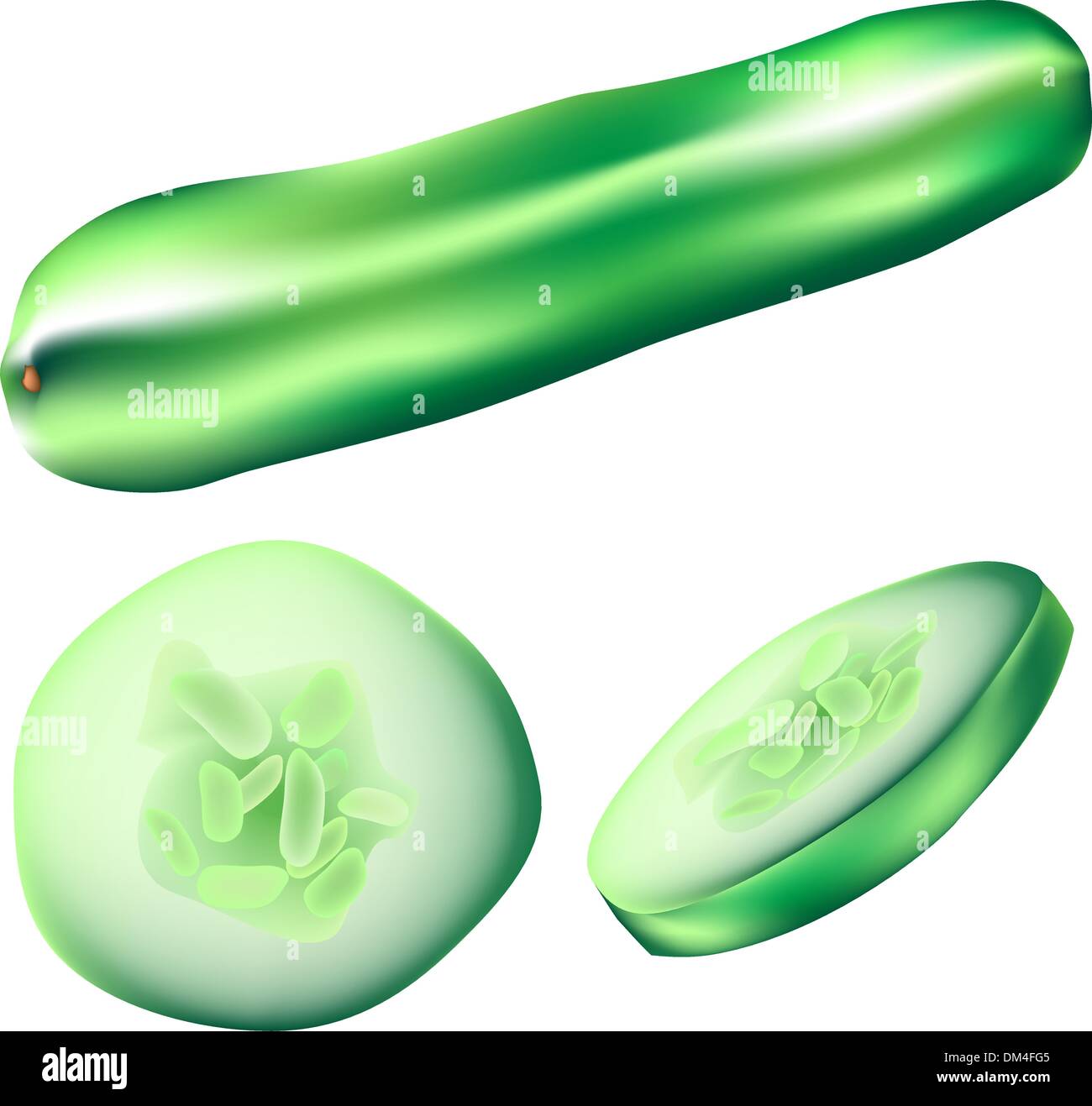 Cucumber vector illustration Stock Vector Image & Art - Alamy