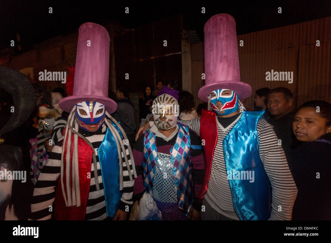 Human skelton hi-res stock photography and images - Alamy