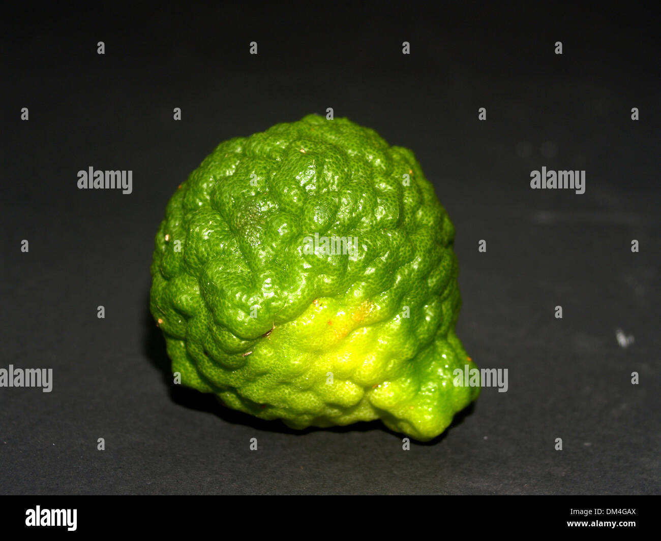fresh bergamot and bergamot leaves Stock Photo - Alamy