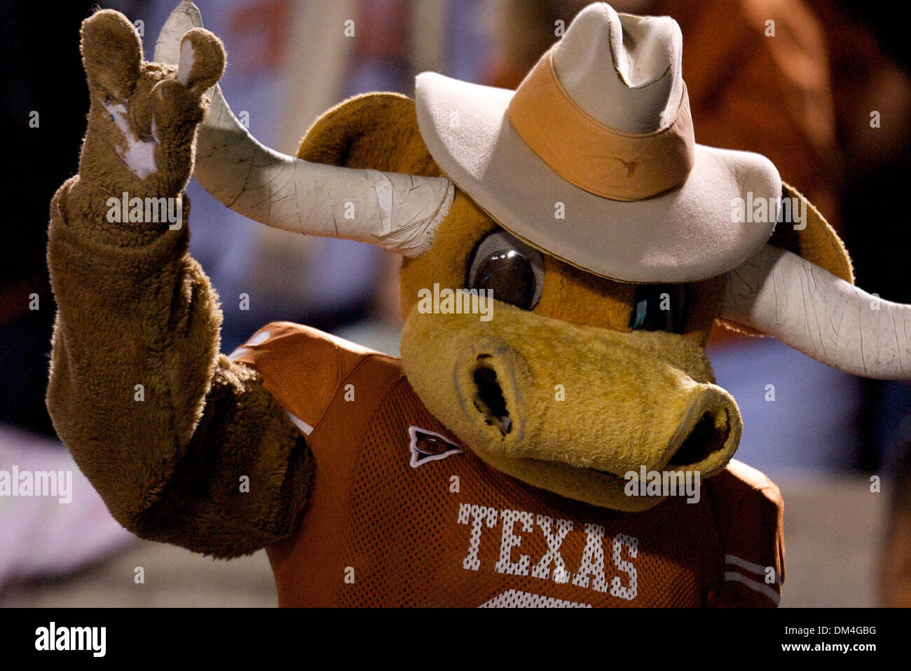Texas Longhorns Mascot High Resolution Stock Photography and Images - Alamy
