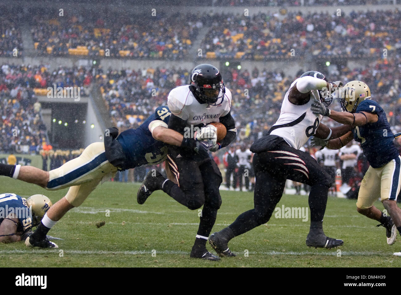 Cincinnati bearcats hi-res stock photography and images - Alamy
