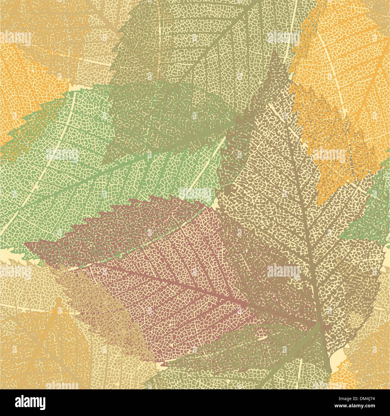 Seamless background vector autumn tree hi-res stock photography and ...