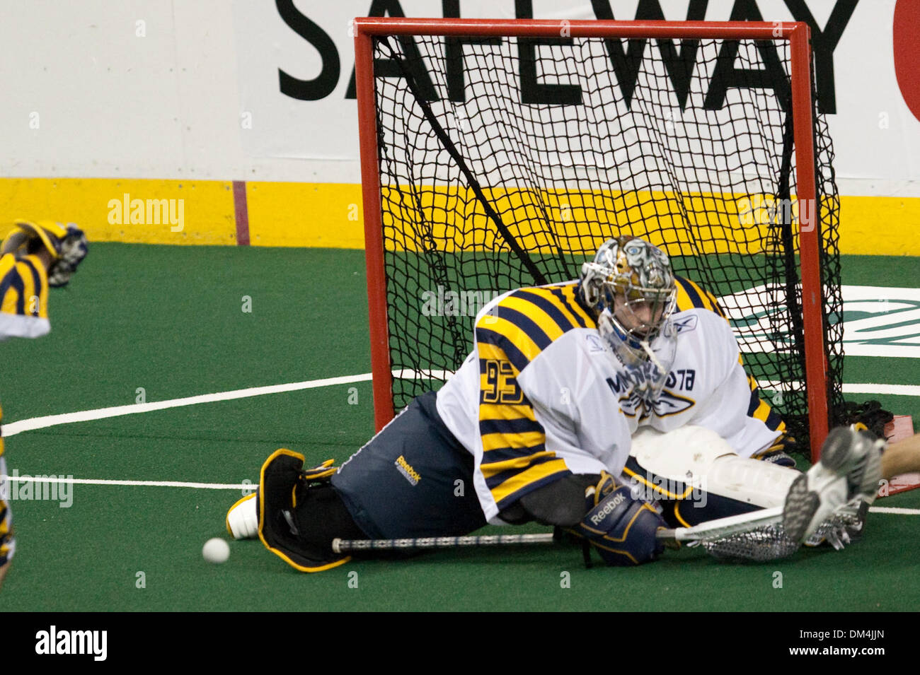 Minnesota Swarm goaltender Nick Patterson (93) goes for a save during a ...