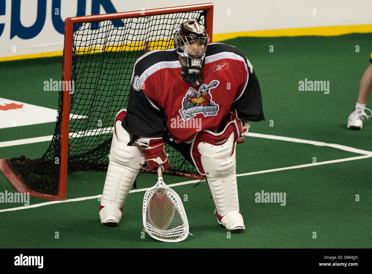 Calgary Roughnecks goaltender Matt King (30) during their season opener ...