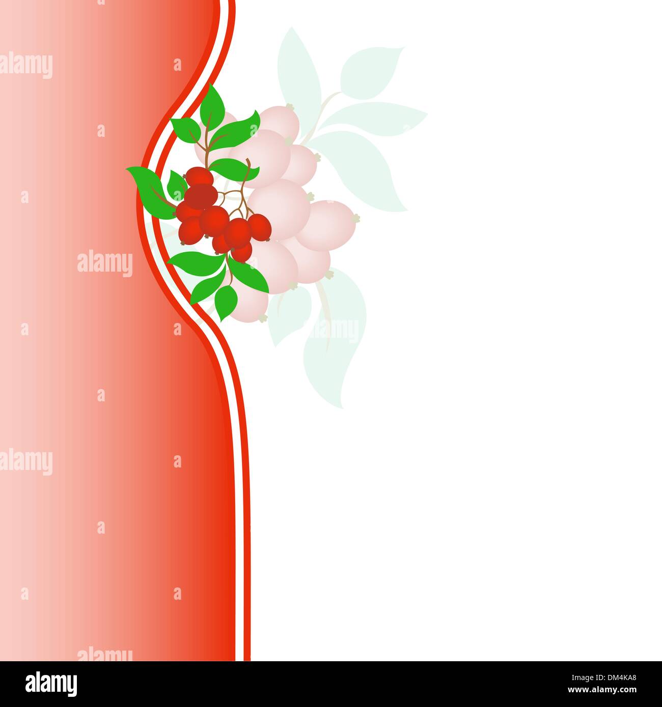 Rowan tree green leaves Stock Vector Images - Alamy