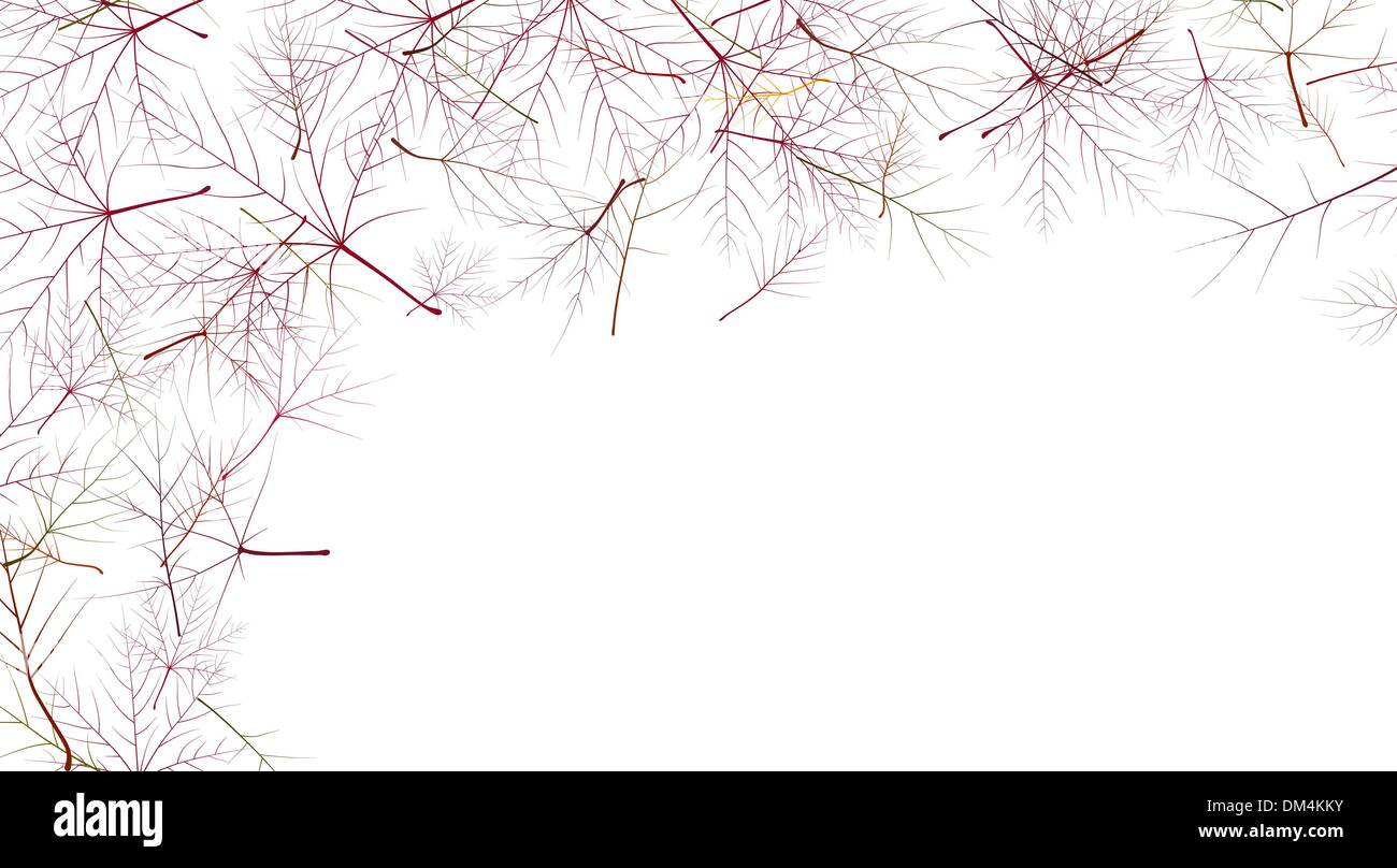 Fresh oak leaves background Stock Vector Images - Alamy