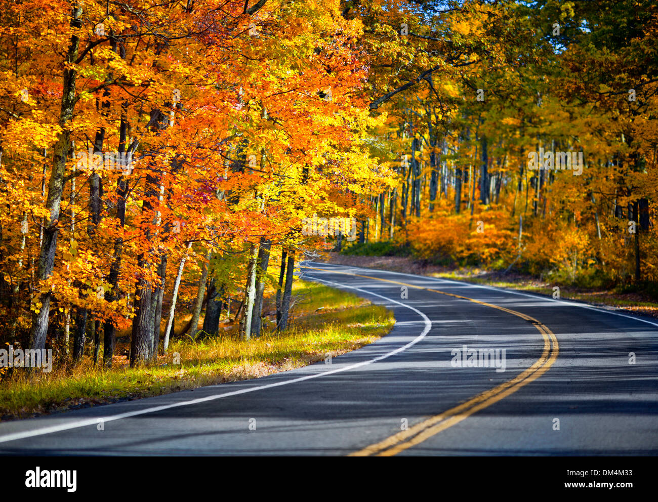 Beautiful scenic empty road in the fall Stock Photo - Alamy