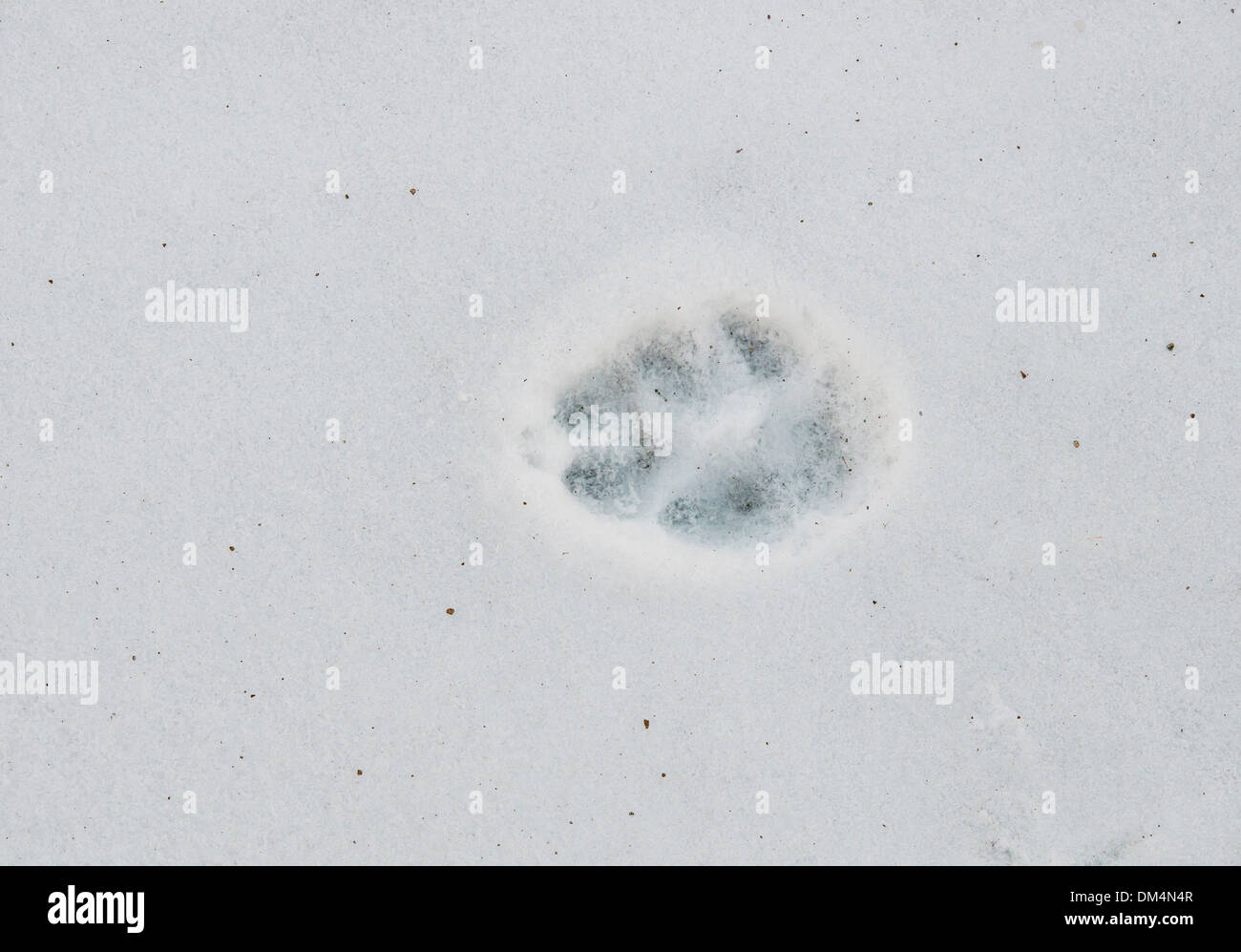 Impact mark hi-res stock photography and images - Alamy