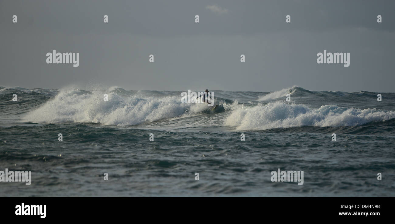 Jobos puerto rico hi-res stock photography and images - Alamy