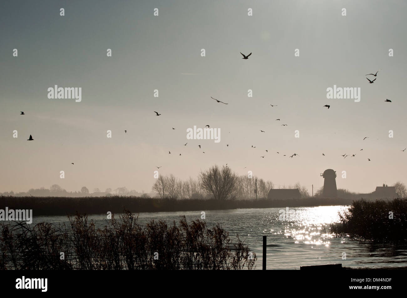 winter River Bure Upton Norfolk Broads Stock Photo - Alamy