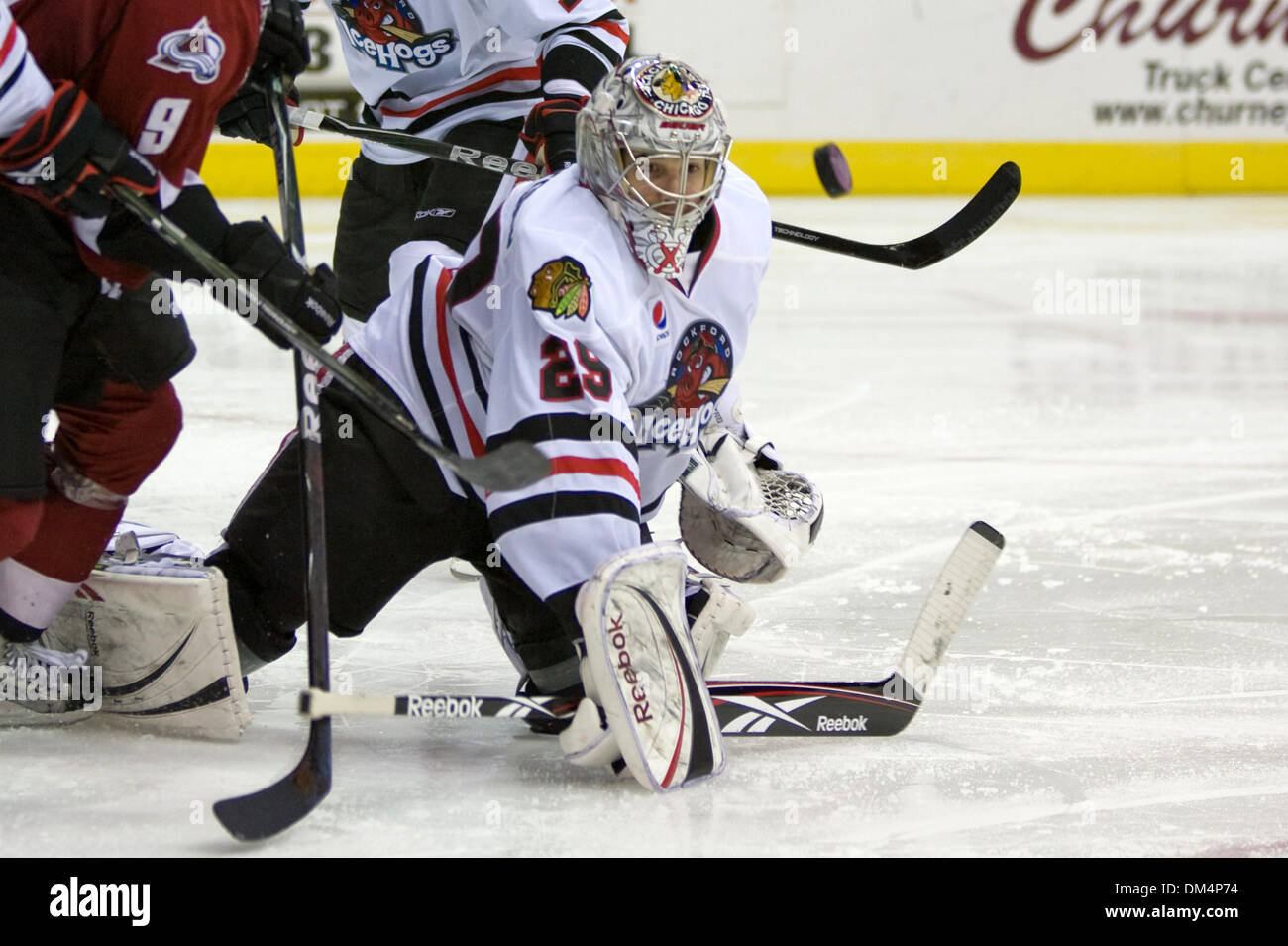 Rockford icehogs hi-res stock photography and images - Alamy