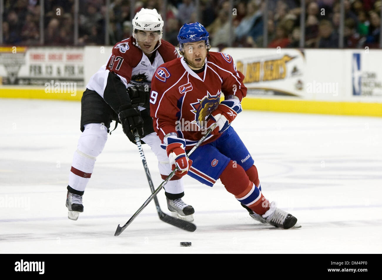 12 February 2010: Hamilton Bulldogs Eric Neilson (29) and Lake Erie ...
