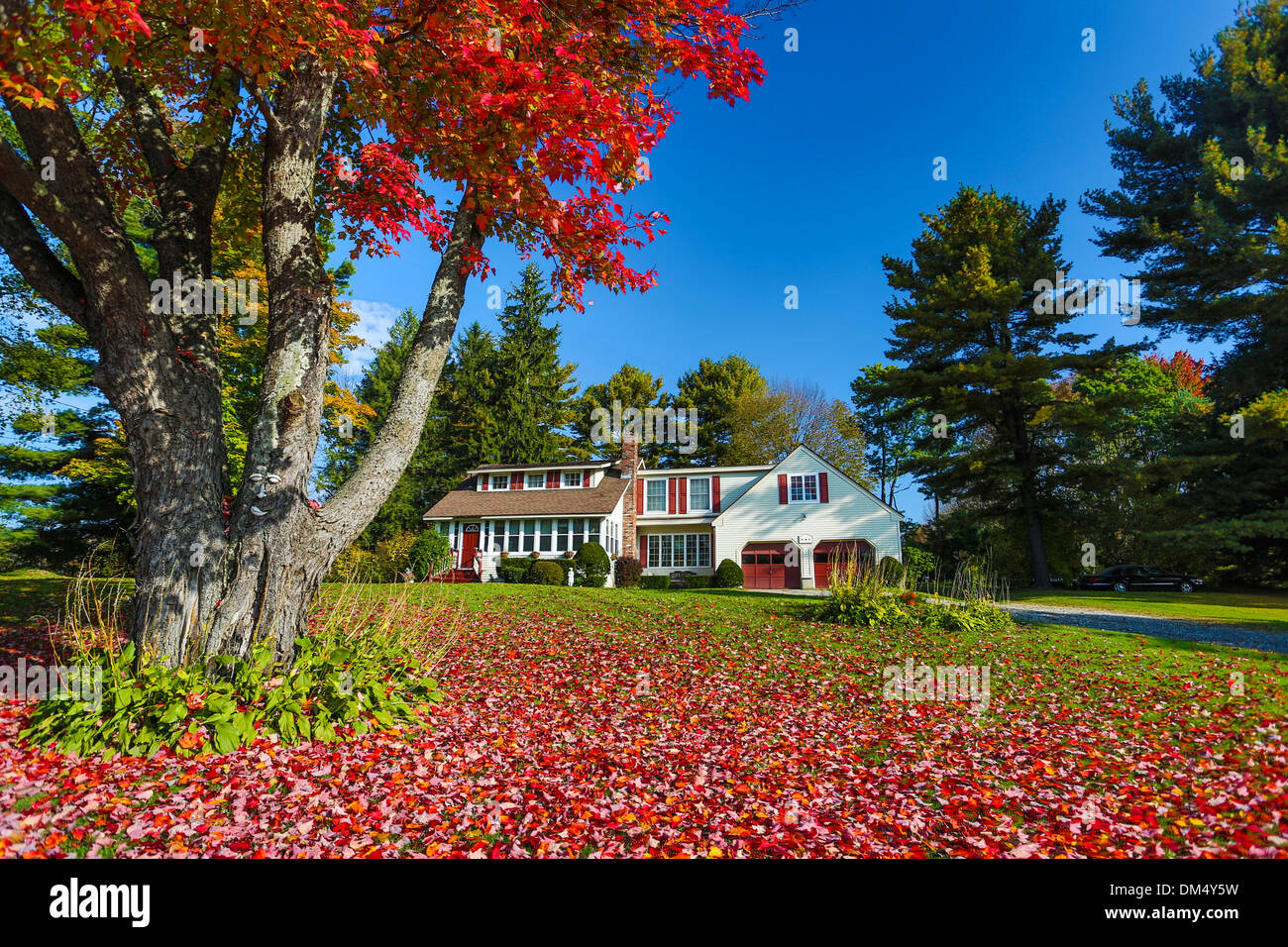 Massachusetts Autumn High Resolution Stock Photography and Images - Alamy