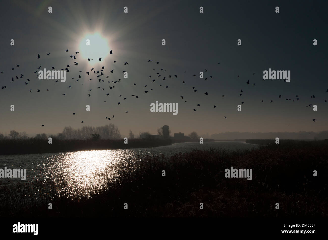 winter River Bure Upton Norfolk Broads Stock Photo - Alamy