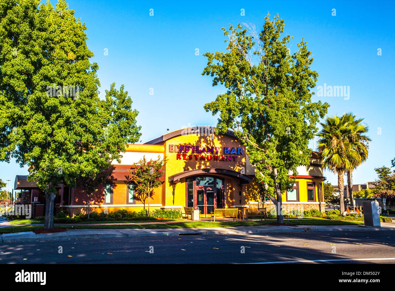 Elephant bar hi-res stock photography and images - Alamy