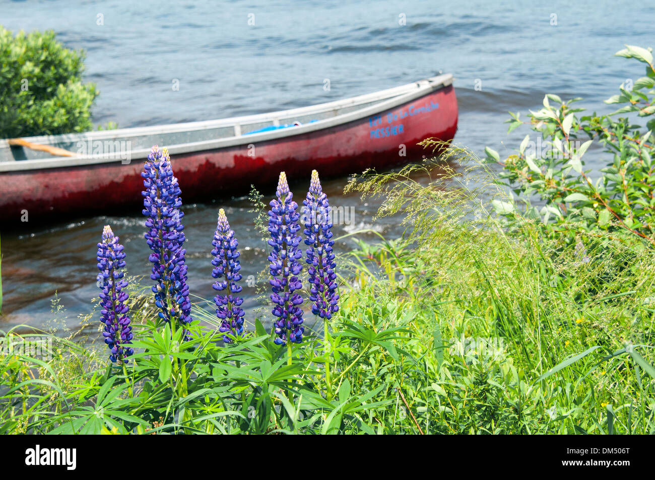 Dingy boat hi-res stock photography and images - Alamy
