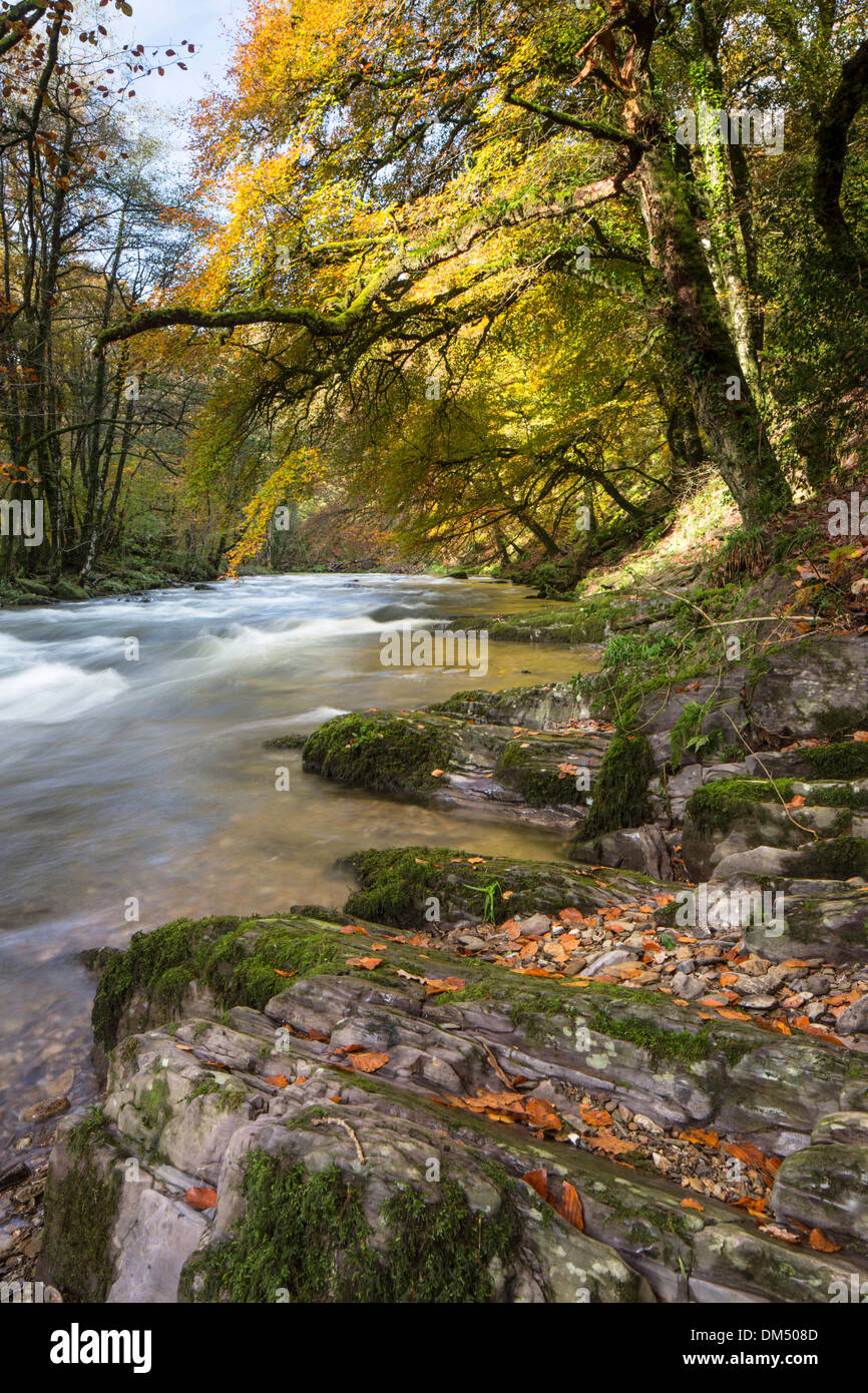 Autumn near Tarr Steps and the River Barle, Exmoor National Park ...