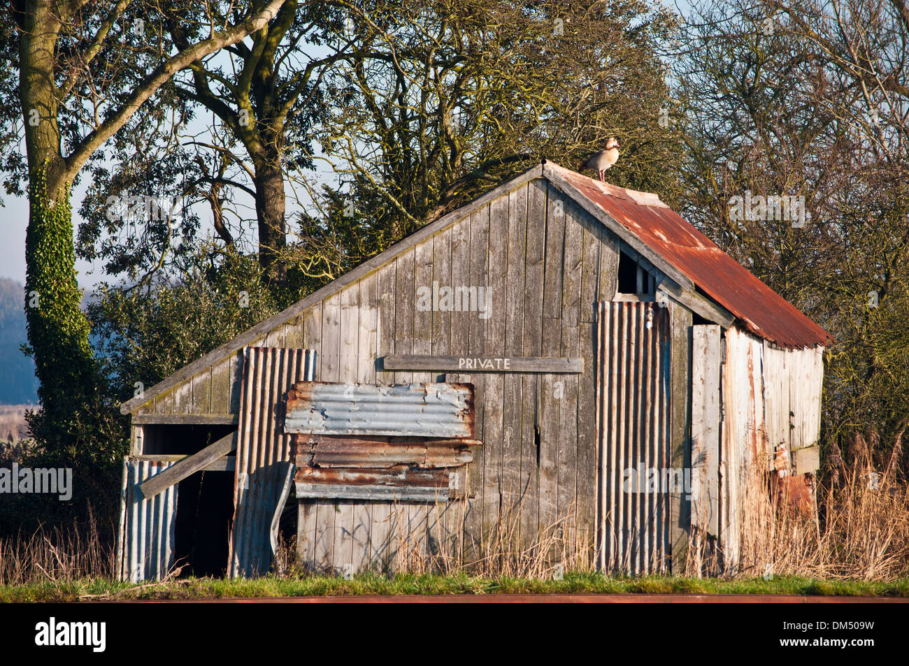 Small wooden barn hi-res stock photography and images - Alamy