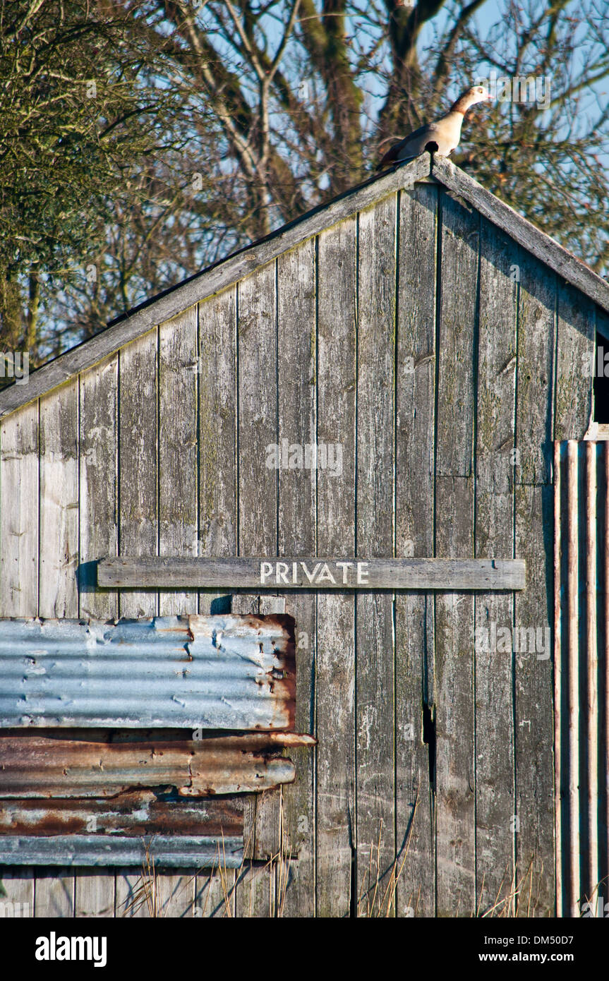 Old derelict wooden farm shack barn with private sign Stock Photo - Alamy