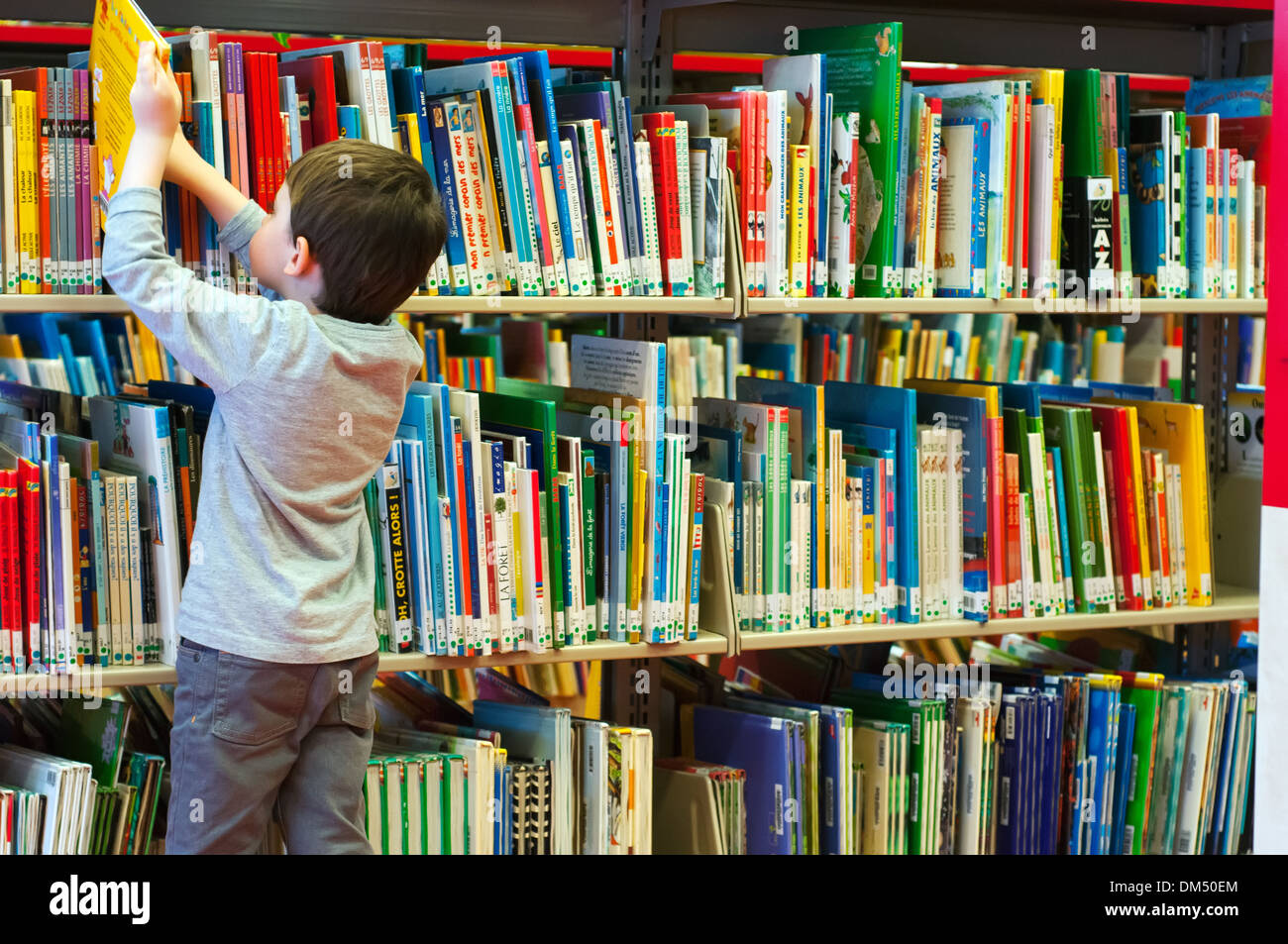 Child picking book at public library Stock Photo - Alamy