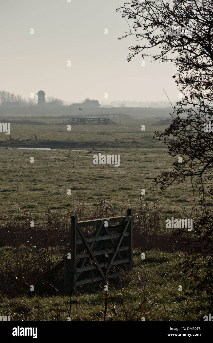 fields Upton marsh Norfolk broads Stock Photo - Alamy