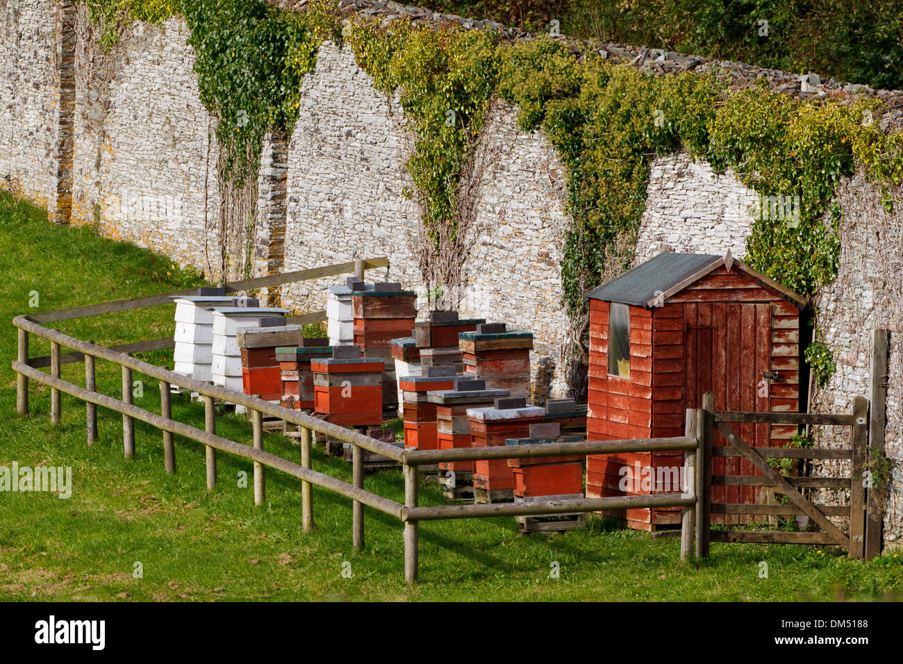 Bee hives enclosed Stock Photo - Alamy