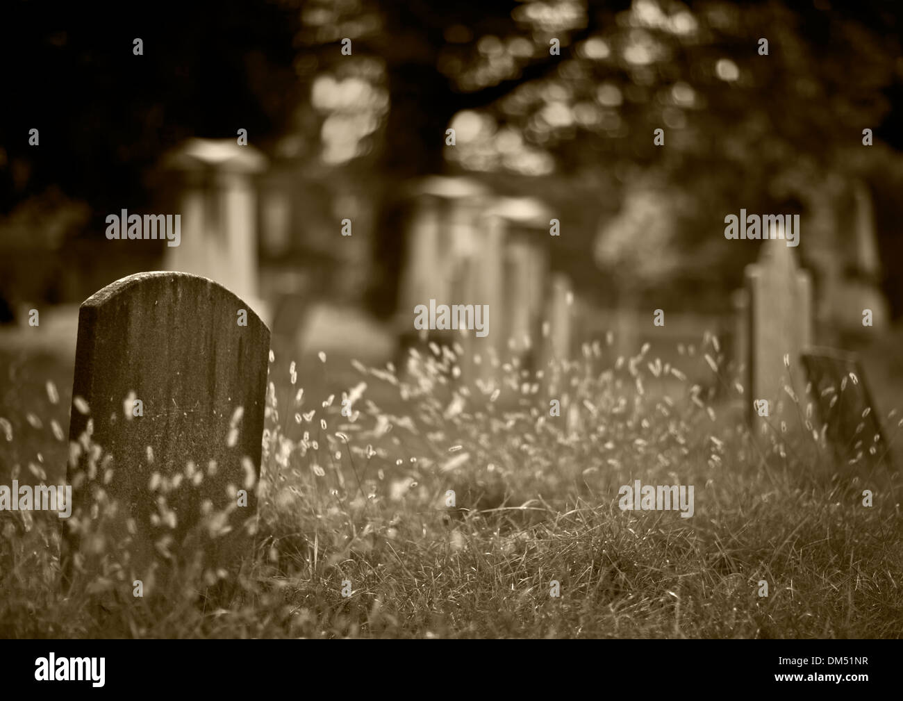Tombstone and graves in an ancient church graveyard Stock Photo - Alamy