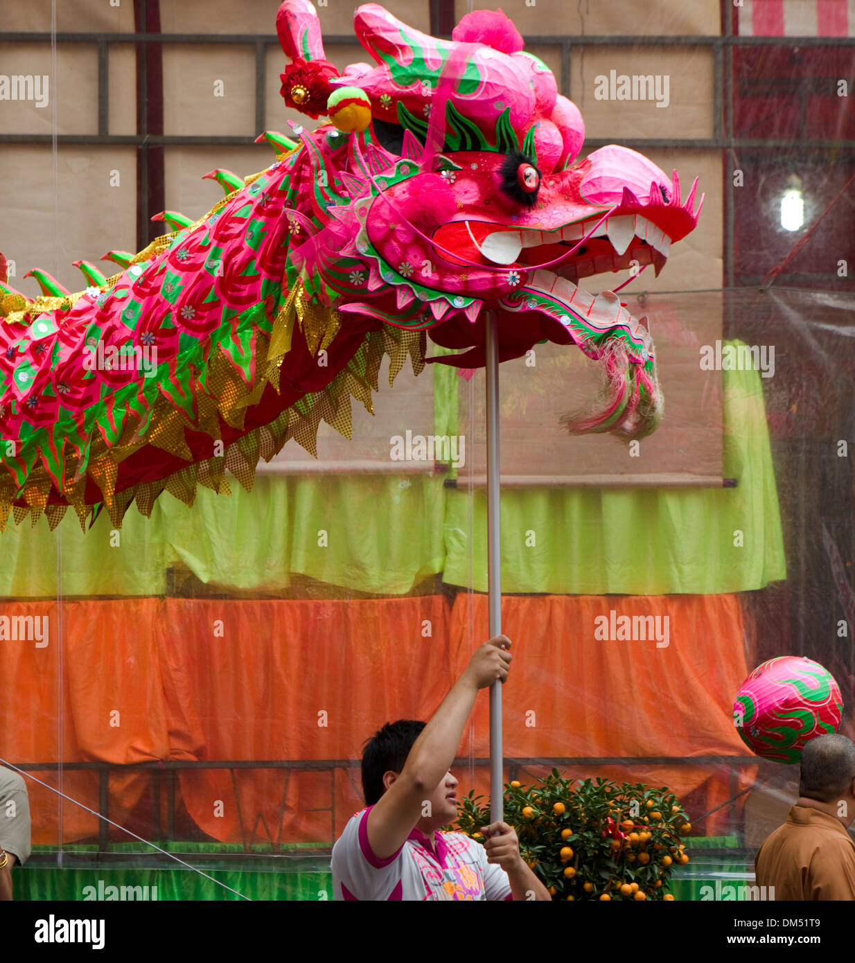 Chinese Culture Dragon Dance